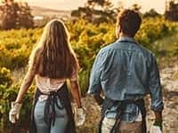 Dialog iQ | B. Braun